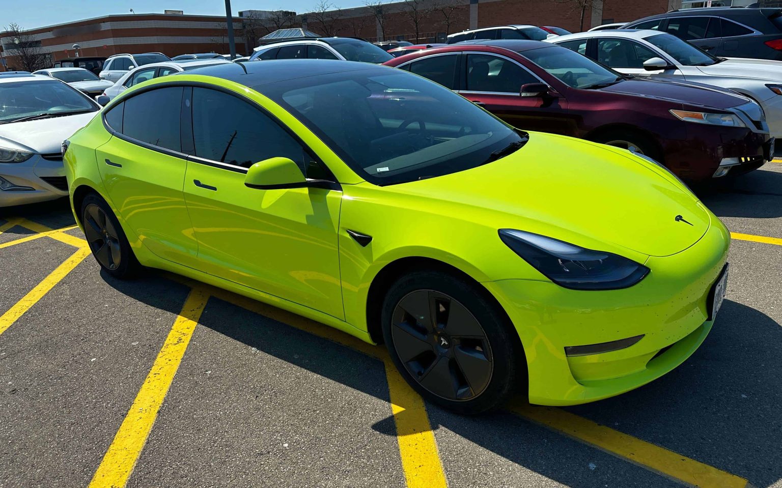 Tesla Wraps: Expert Advice for a Stunning EV Ride