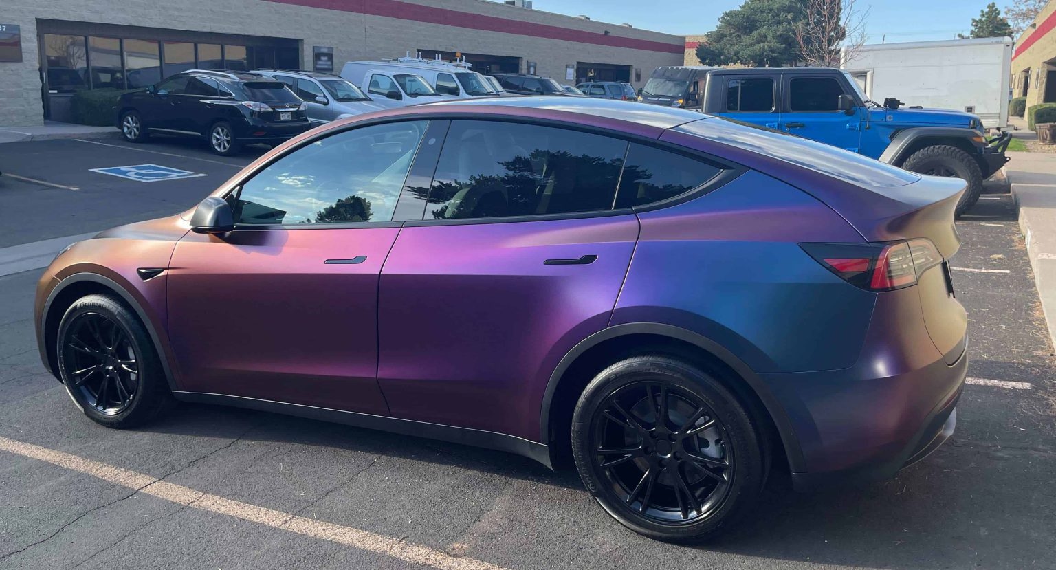 Tesla Wraps: Expert Advice for a Stunning EV Ride